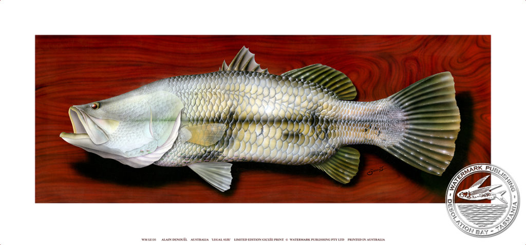 LEGAL SIZE (Barramundi) - Alain Denouel - Giclee Print - 35 x 75 cm ...